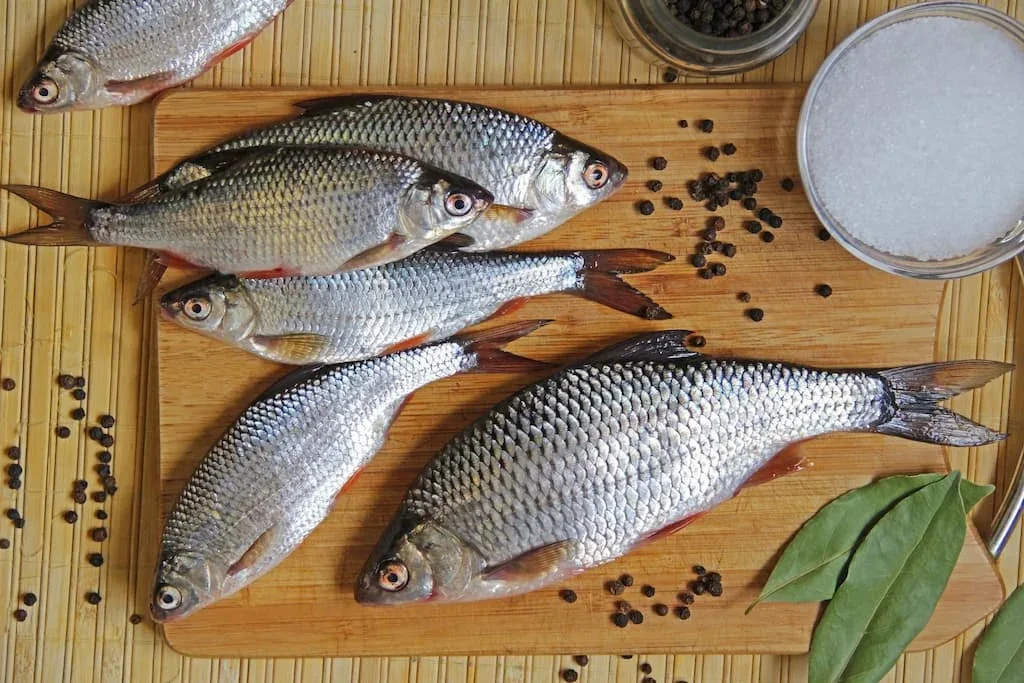 Recette pour Gardon : la friture de Gardon - Billouttes